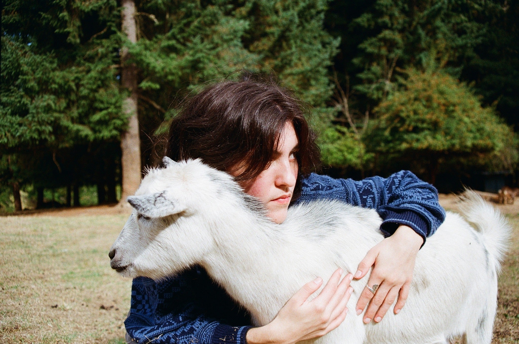 Searows – Searows Online