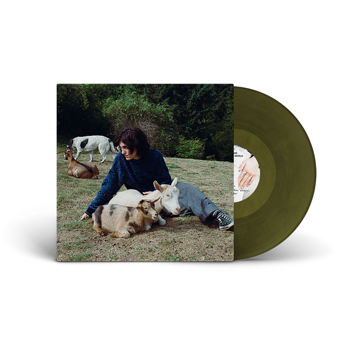 Searows – Searows Online